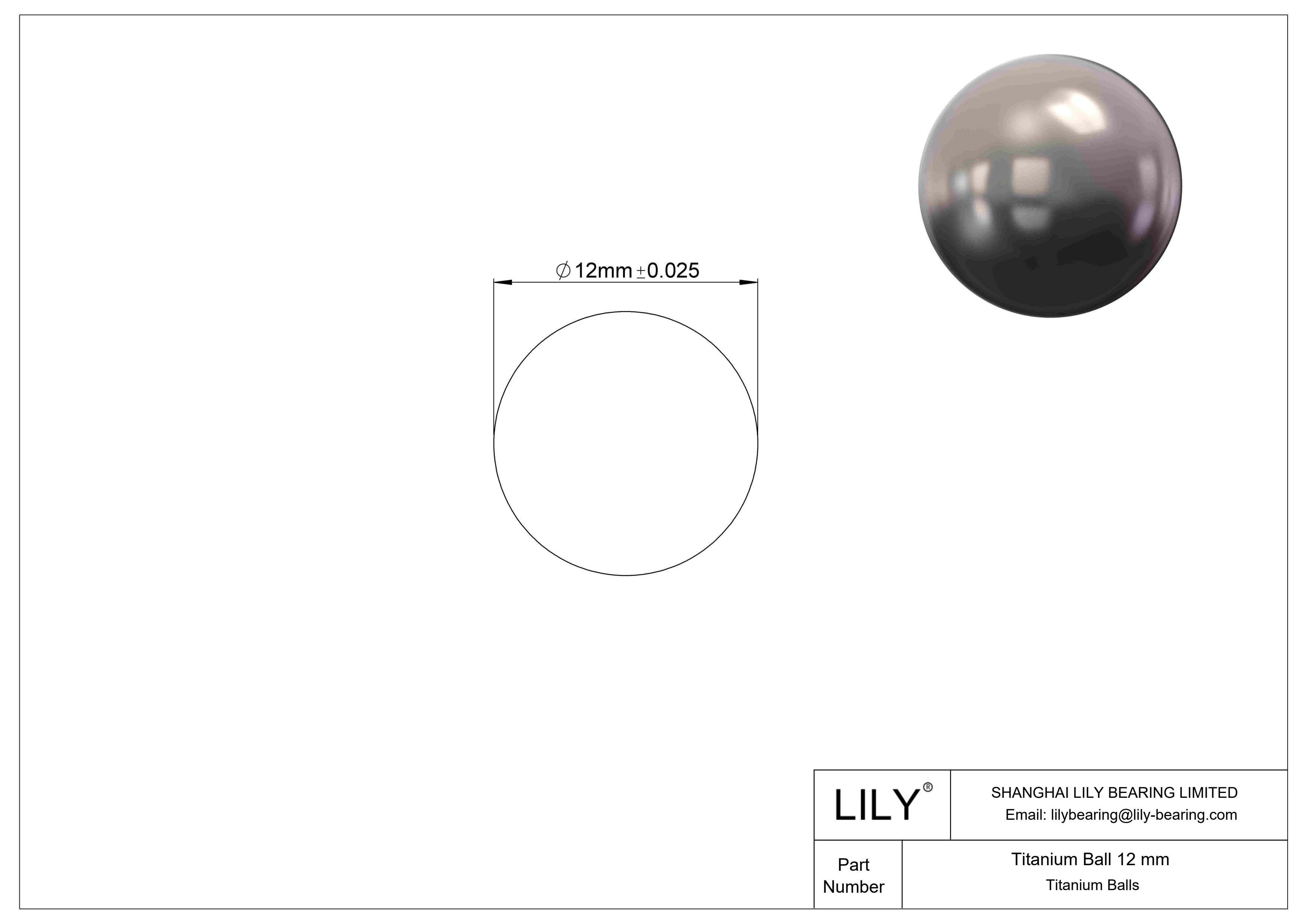 Titanium Ball 12 mm | Titanium Balls | LILY Bearing