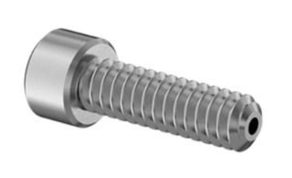 Vented Socket Head Screws | LILY Bearing
